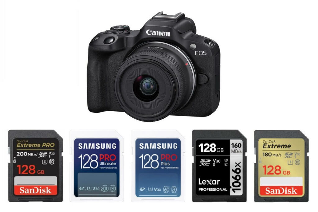Best Memory Cards for Canon EOS R50 - Camera Lookout