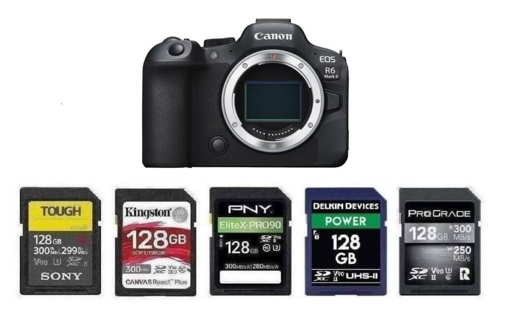 Best Lenses for Canon EOS R8 in 2025 - Camera Lookout