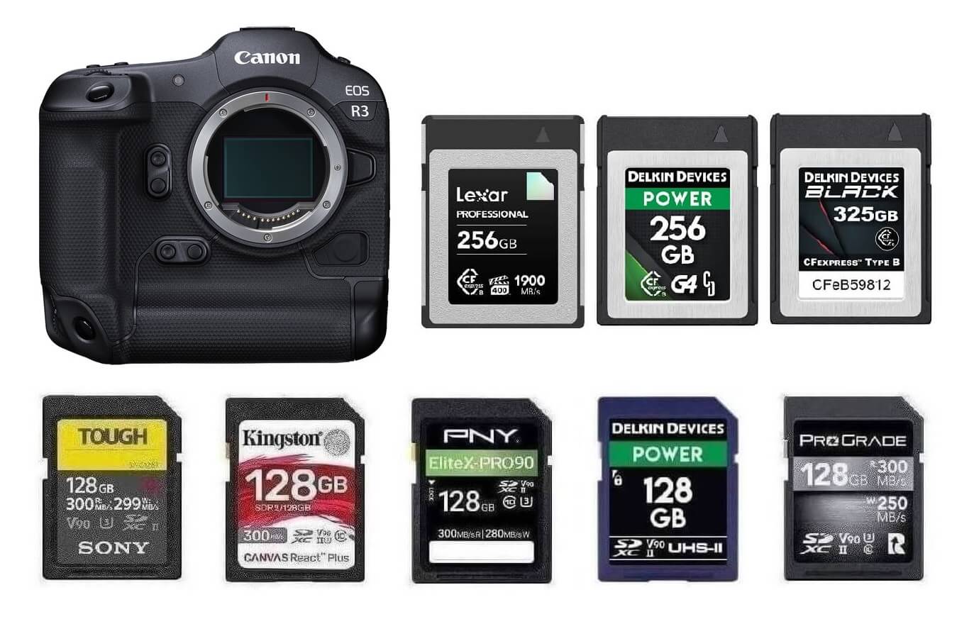 Best Memory Cards for Canon EOS R3 - Camera Lookout