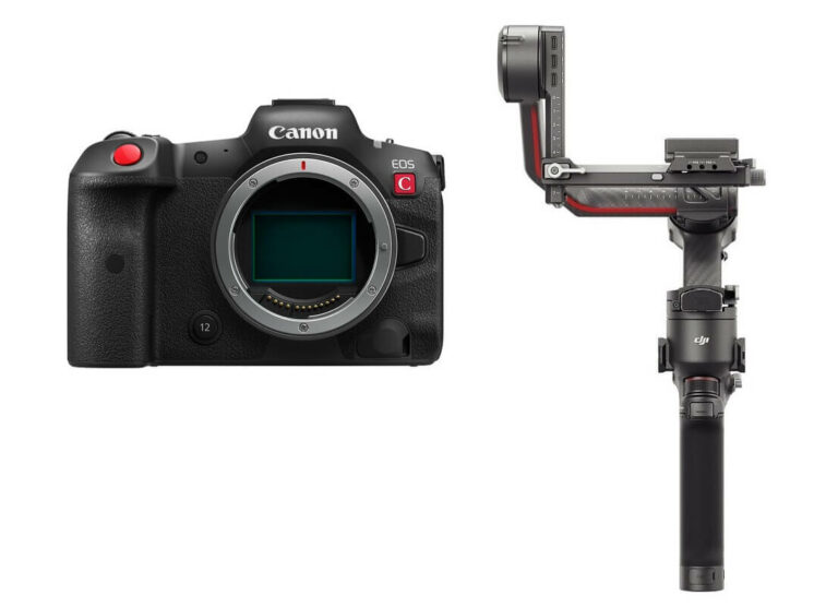 Best Gimbals for Canon EOS R100 - Camera Lookout
