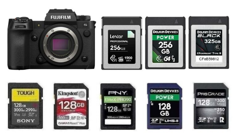 Best Lenses for Canon EOS R100 in 2025 - Camera Lookout