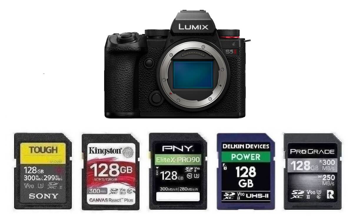 Best Memory Cards for Panasonic Lumix S5 II - Camera Lookout