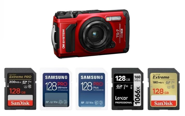 Best Memory Cards for Canon EOS R6 Mark II - Camera Lookout