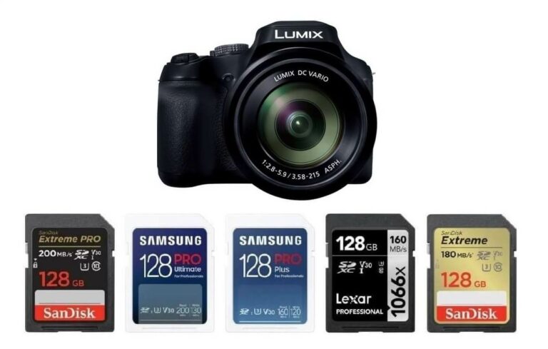 Best Lenses for Canon EOS R100 in 2025 - Camera Lookout