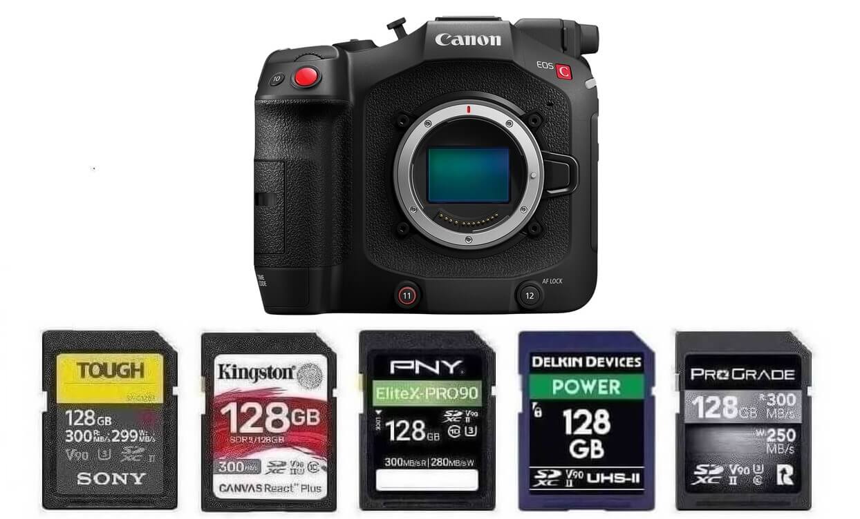 Best Memory Cards for Canon EOS C80 - Camera Lookout