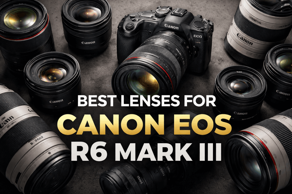 Best Lenses for Canon EOS R6 Mark III - Camera Lookout